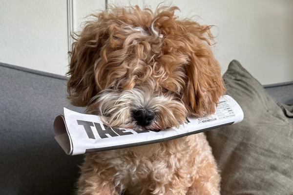 Newspaper Club 2024 Year in Review